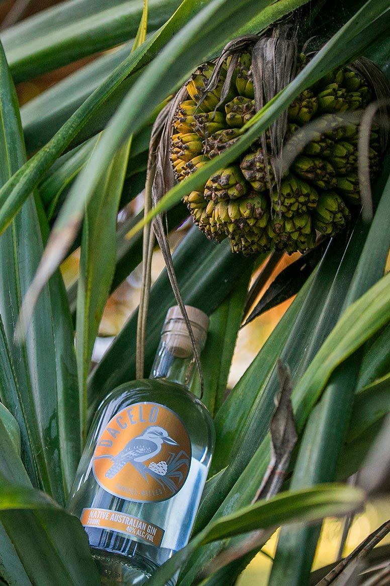 Shovel-Billed | Tropical Pandanus Nut Gin | Dacelo Distilling